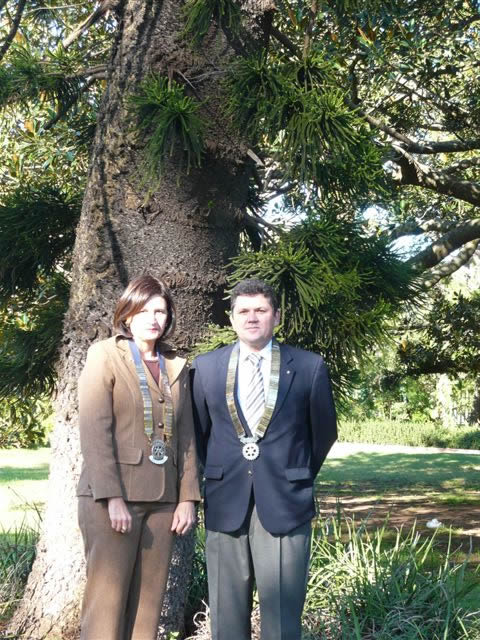 Friendship trees in Africa | Rotary Global History Fellowship (RGHF)