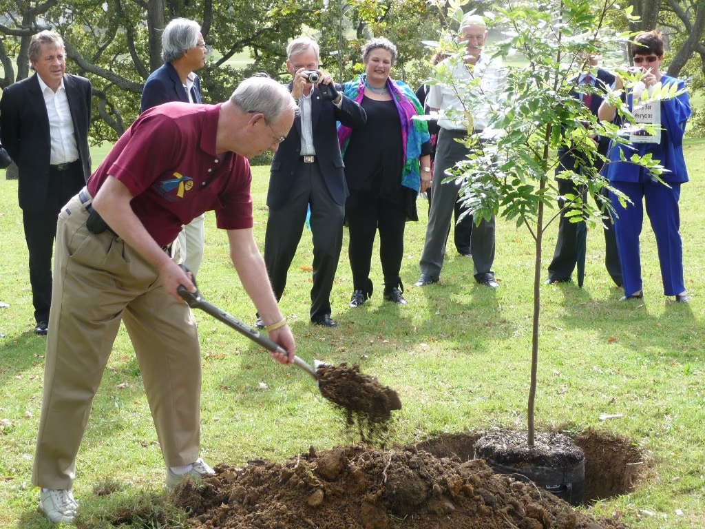 Friendship trees in New Zealand | Rotary Global History Fellowship (RGHF)