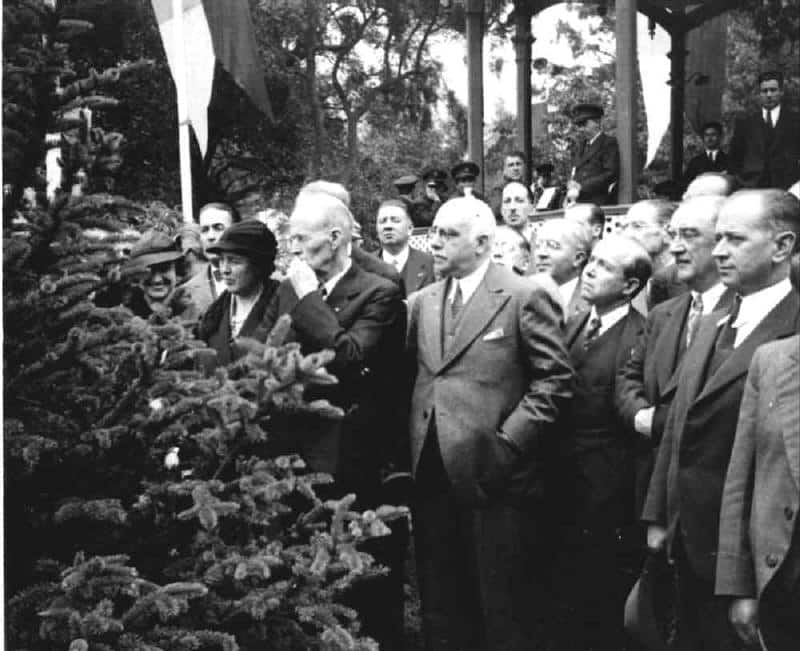 Trees in South America | Rotary Global History Fellowship (RGHF)